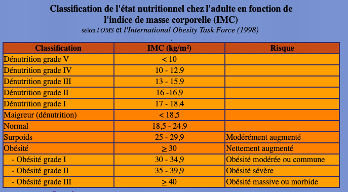 Une synthèse narrative de l'obésité aux soins intensifs - Siz Nursing